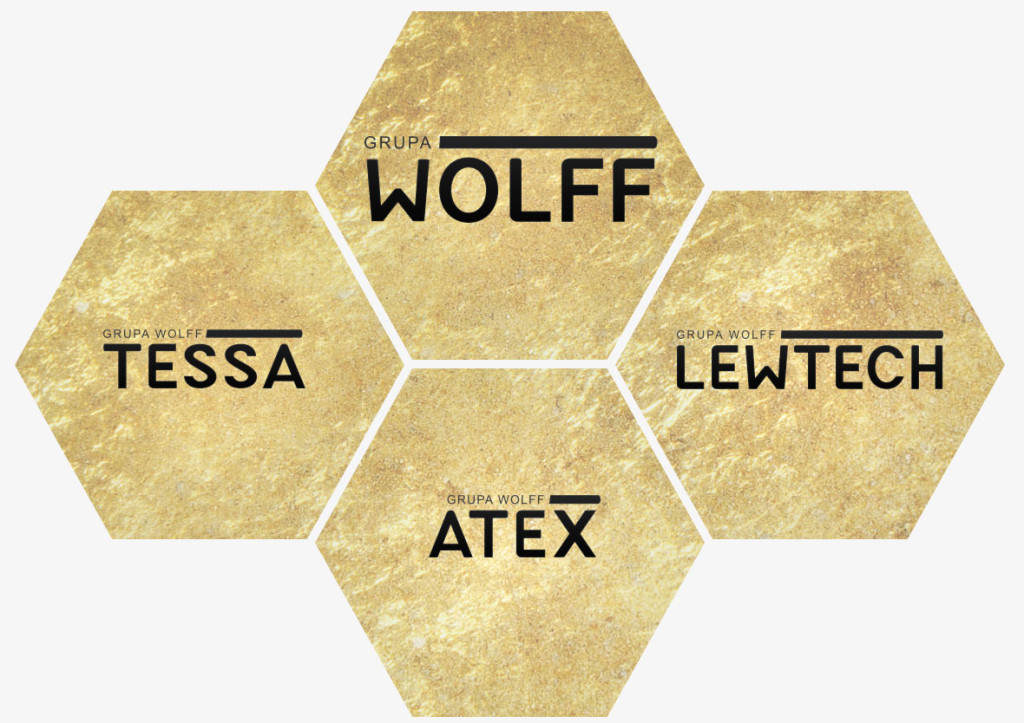 Structure of Wolff Group - WOLFF GROUP